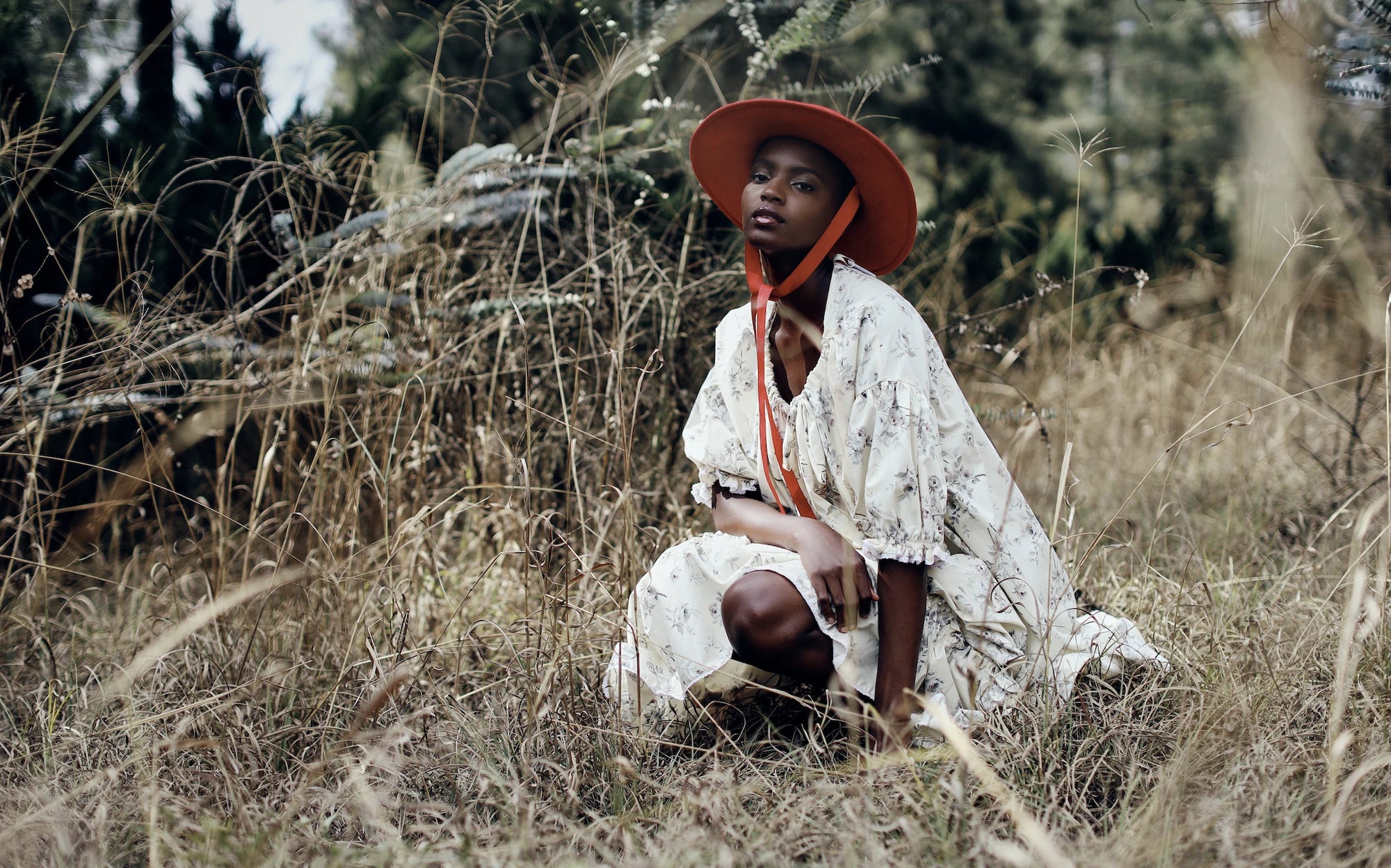 Loosh Online | – LooshOnline